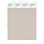 PANTONE Smart 13-0401X Color Swatch Card, Oatmeal - House Paint ...