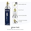 Amazon.com: GLACIER FRESH 60L Co2 Carbonator Compatible with Soda Maker, Threaded Connector CO2 ...