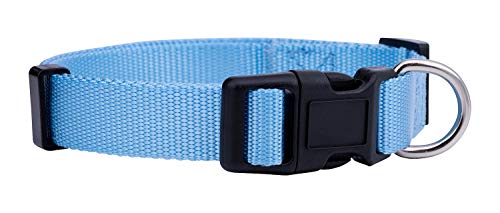 Blue Collar Dog – The 15 best products compared - Wild Explained