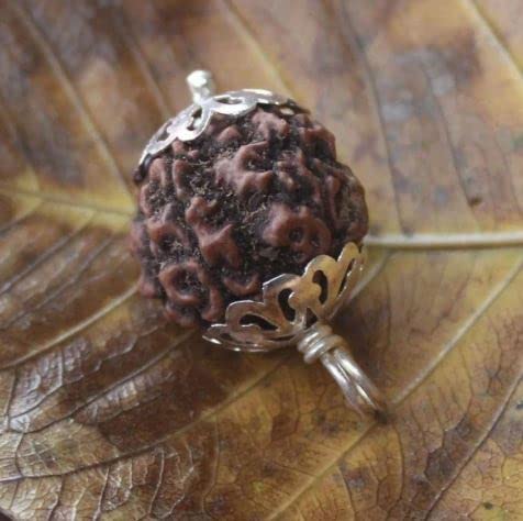 UrusGems Premium Nepali Panchmukhi Rudraksha Pendant Panch 5 Mukhi ...