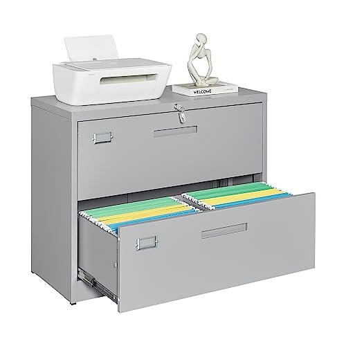 STANI Lateral File Cabinet with Lock, 2 Drawer Metal Filing Cabinet ...