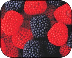 Amazon.com : Blueberry Strawberry Gumdrops Candy [10LB Case] : Gummy ...