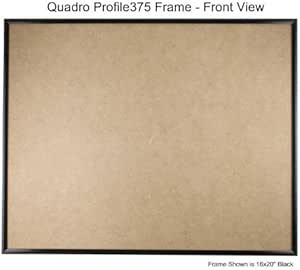 Amazon.com: 17x22" Poster Frame Profile375: Posters & Prints