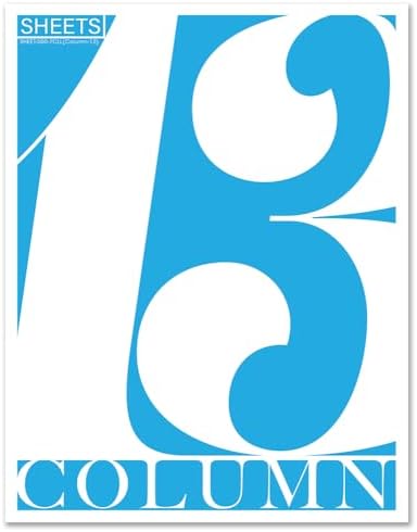 Amazon.com : BookFactory 13 Columns Columnar Sheets/Thirteen Column ...