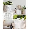 Amazon.com : Wavy Planter Speckled Matte White Ceramic w/ Drainage Hole ...
