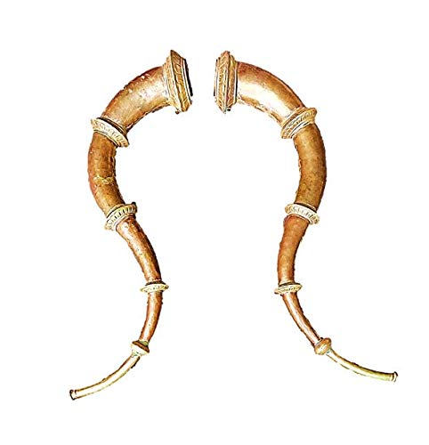 RanSinga Standard Size : Amazon.in: Musical Instruments