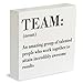Amazon.com: Inspirational Team Noun Desk Decor, Team Sign Office Wooden ...