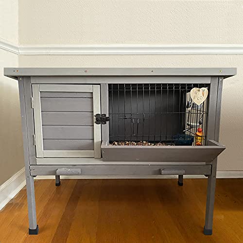 Top 10 Indoor Rabbit Cage Setup of 2022 - Katynel