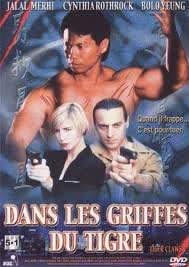 Dans les griffes du Tigre : Jalal Merhi, Cynthia Rothrock, Bolo Yeung ...