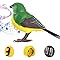 Amazon.com: Doefo Electric Singing and Chirping Bird Toy, Interactive ...
