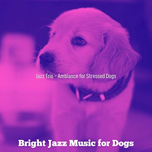 Amazon Music UnlimitedでBright Jazz Music for DogsのJazz Trio - Ambiance ...