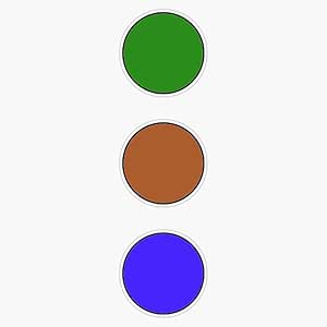 Amazon.com - Sapiosexual Flag Minimalism Bumper Sticker Vinyl Decal 5"