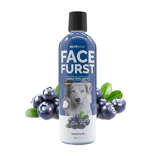 Get Ready to Spoil Your Smushy Face Dog with These Top 10 Must-Have ...