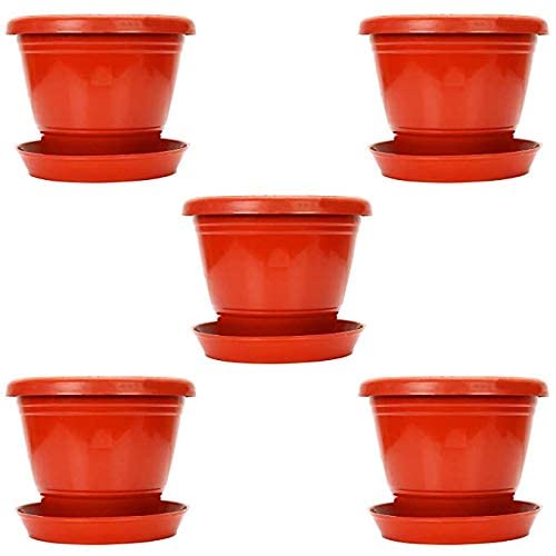 Plant Pots | Plant pot with Bottom Tray | Plant Pots for Home | Pots ...