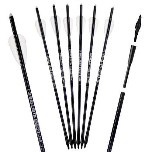 Top 10 Best Micro Diameter Hunting Arrows : Reviews & Buying Guide ...