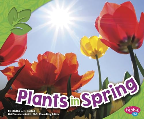 Free Flowers Preschool Lesson Plans - Stay At Home Educator