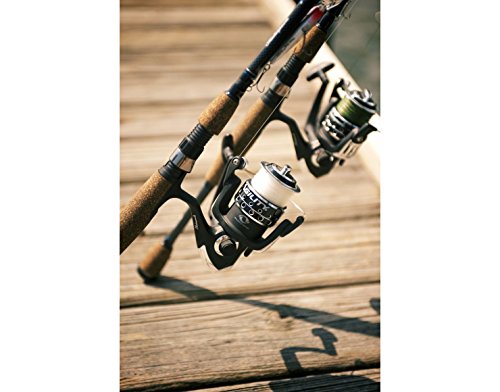 The 29 Best Shakespeare Fishing Reels of 2026 [Verified] - Cherry Picks