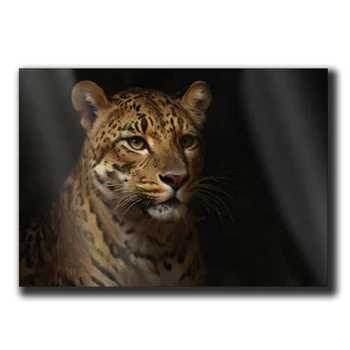 Amazon.com: Leopard Poster Prints, Black Background, Wildlife Animal ...