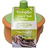 Amazon.com : Frogilo - Frog & Toad House, UK Made : Patio, Lawn & Garden