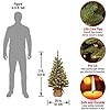 Amazon.com: National Tree Company Pre-lit Artificial Mini Christmas ...