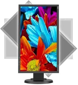 Amazon.com: NEC E224WI-BK / MultiSync E224WI-BK 21.5" LED LCD Monitor - 16:9 - 6 ms 1920 x 1080 ...