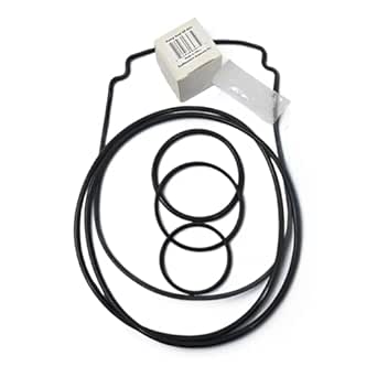 Amazon.com: O-Ring Rebuild Repair Kit for Jandy Pool Pumps - Kit 77 ...