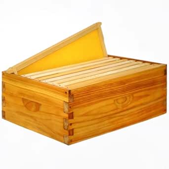 Amazon.com: Honey Lake 8 Frame Assembled Bee Hive Super Box, Langstroth ...