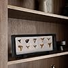 Amazon.com - Shark Tooth Holder ( 4 Pack ) Sealed Shark Teeth Display ...