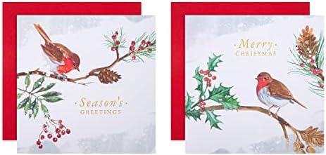 Amazon.com : Hallmark Charity Christmas Cards, Traditional Robin ...