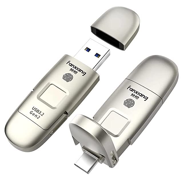 Connect 256 GB 2 in 1 OTG Pendrive USB 3.2 + Type C with Fingerprint ...