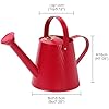Simpa 3L 3 Litre Colour Metal Watering Can with Watering Rose - Matt ...