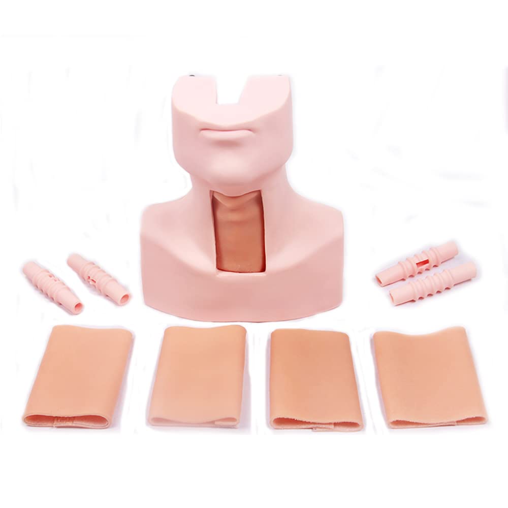 Buy ZCBYBT Cricothyroid Puncture Tracheotomy Intubation Training Model ...