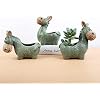 Amazon.com: SELLONWANELO Vintage Ceramic Donkey Plant Flower Pot ...