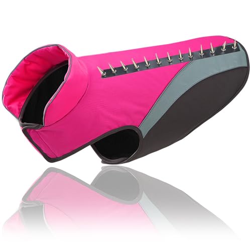 Dog Spike Vest – The 15 best products compared - Wild Explained