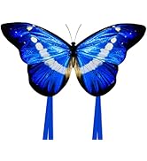 Amazon.com: JEKOSEN Butterfly Huge Kite for Kids and Adults Easy to Fly ...