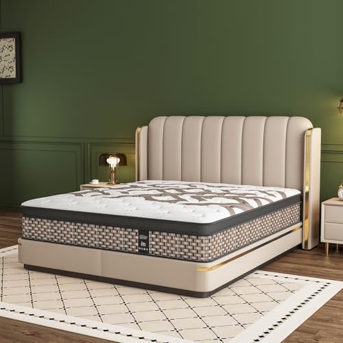 Amazon.com: Hybrid Mattress Queen Size - Comfort Support & Motion ...