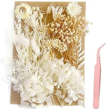 SJBAUTYO Natürliche Getrocknete Blumen,Trockenblumen Set,DIY Gepresste Blumen,Getrocknete Blumen ...