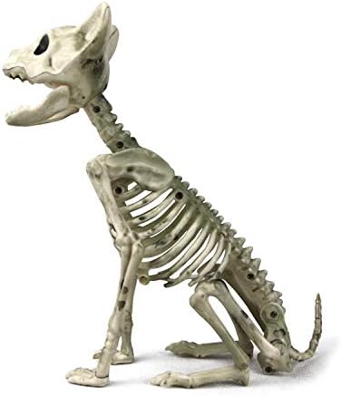Amazon.com: JOYIN Posable Halloween Dog Skeleton Full Body Posable ...