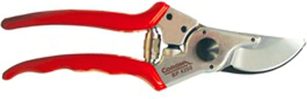 Amazon.com : CORONA CLIPPER 6250-1T Replacement Part Blade 6250, BP ...