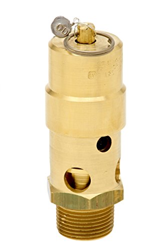 Control Devices SW12-0A250 SW Series Brass Soft Seat ASME Safety Valve ...