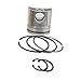 Amazon.com: 1* PISTON KIT WITH PISNTON RING Retaining BLKPRO OEM ...