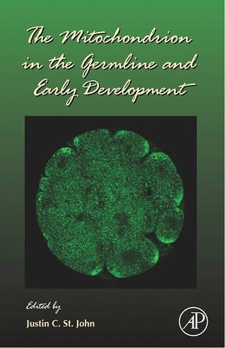 The Mitochondrion in the Germline and Early Development: 77 (Current ...