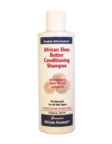 Amazon.com : African Shea Butter Conditioning Shampoo 8oz : Shampoo ...