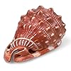 Amazon.com: PPCLION 6" Large Natural Conch Shells Orange Seashells ...