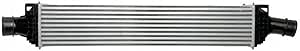 Amazon.com: Genuine OEM Intercooler for Audi 8W0145805AE : Automotive