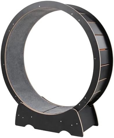 Amazon.com: Cat Exercise Wheel for Indoor Cats, 40 inch Large Cat ...