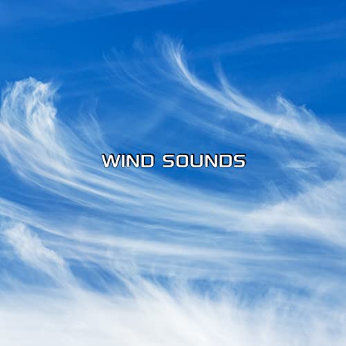 Play Wind Sounds by Special Effects Soundscapes, The Nature Sound FX ...
