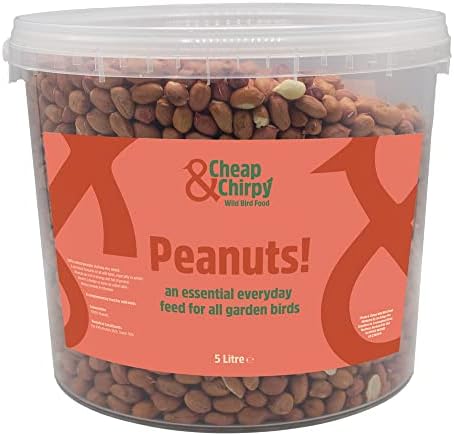 Cheap & Chirpy Wild Bird Peanuts 5 L Tub - Wild Bird Food & Squirrel ...