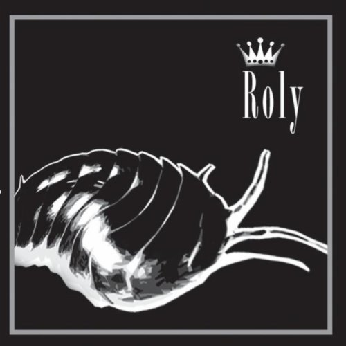 Play Roly by Roly on Amazon Music