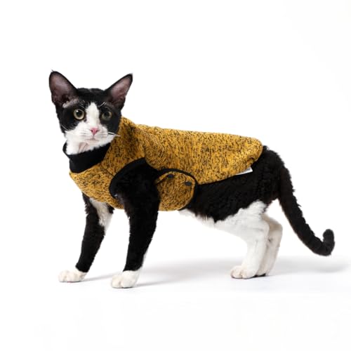 Cat Coat – The 15 best products compared - Wild Explained
